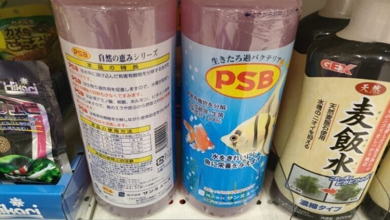 PSBの培養はエビオス錠を使えば簡単｜1番大事なことは培養条件の整った場所